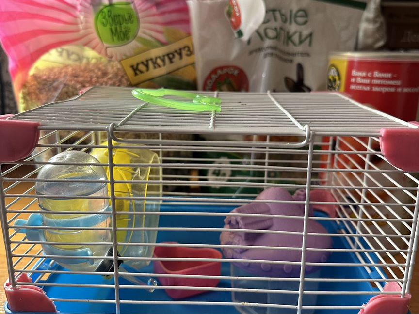 Клетка для грызунов