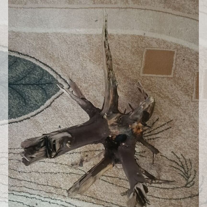 Коряга в аквариум натуральная