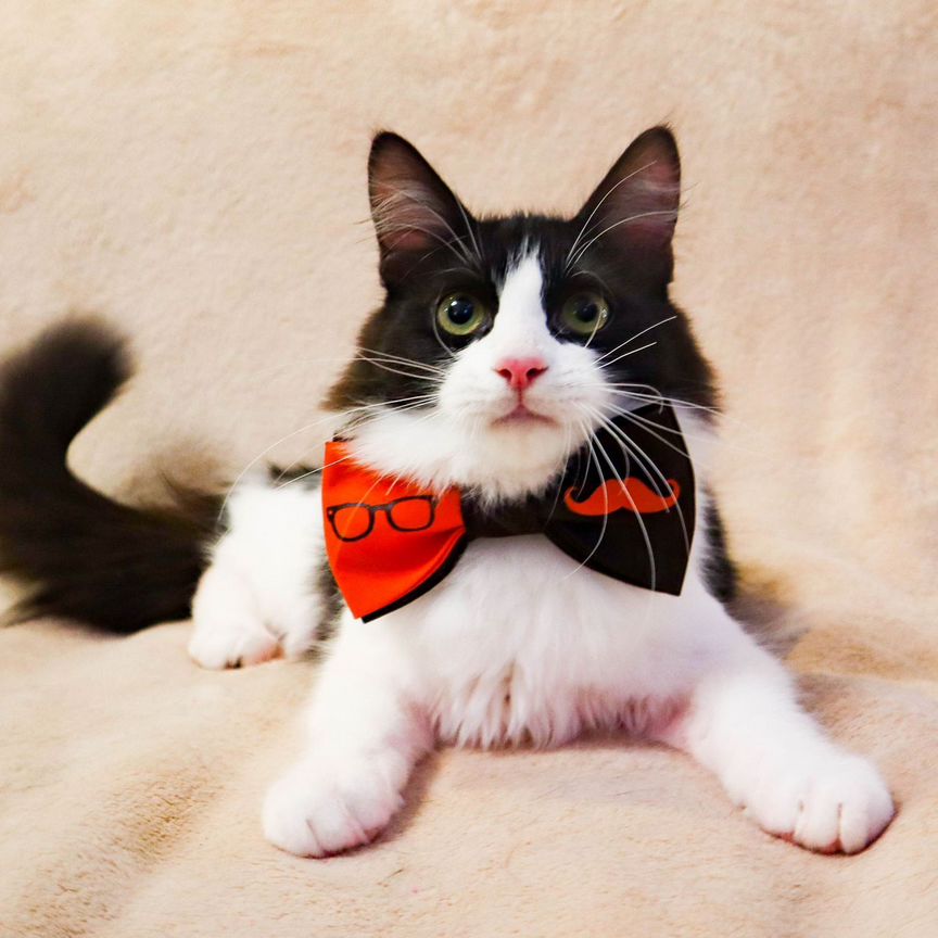 Робертино - наш славный мальчишка