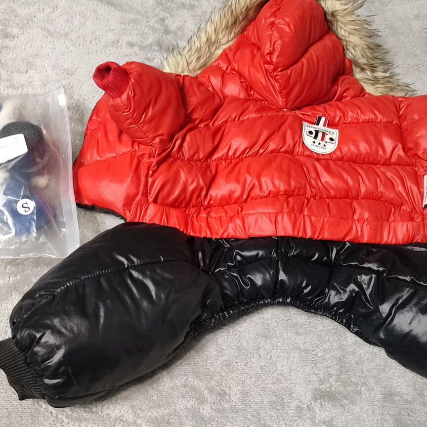 Одежда для маленьких собак