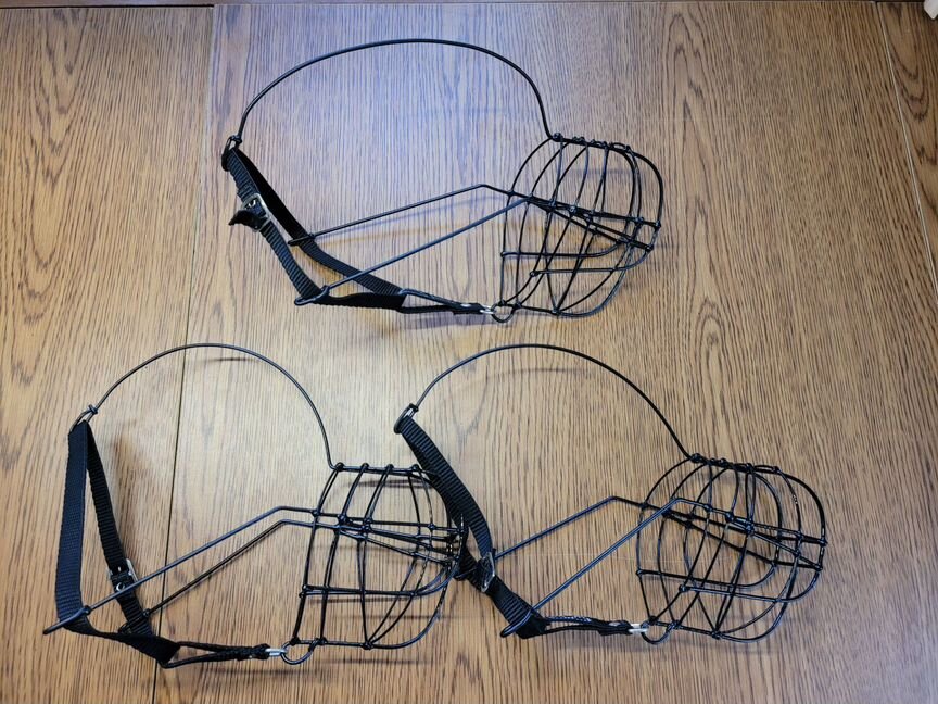 Намордники для беговых собак. рпб