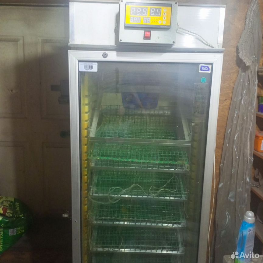 Инкубатор для яиц