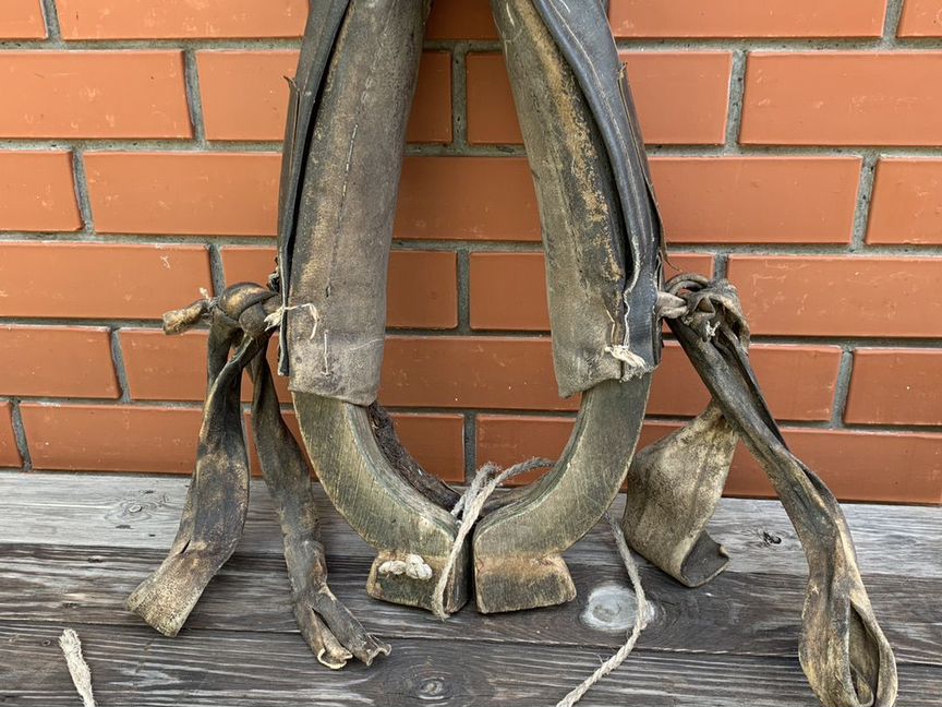 Сбруя для лошади