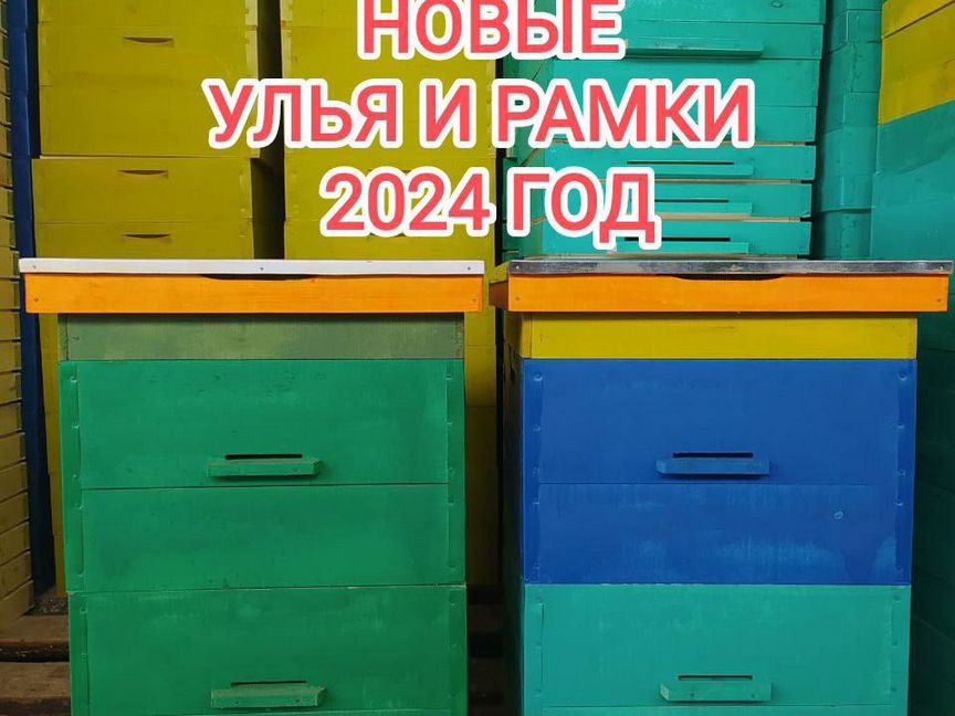 Улья Рамки на 2024