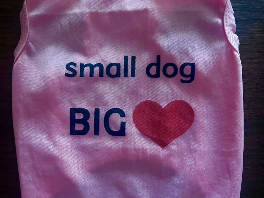 Майка для собачки