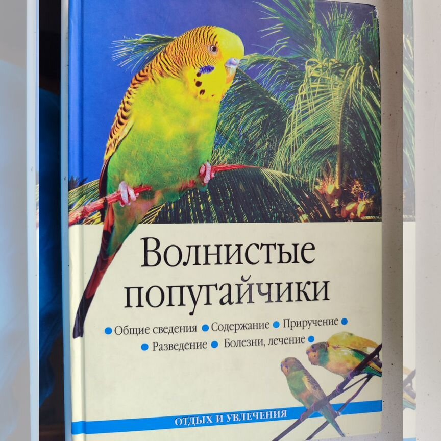 Волнистый попугай