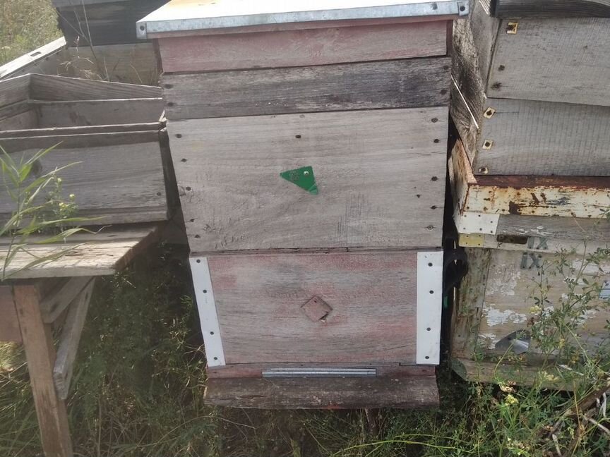 Улей для пчел бу