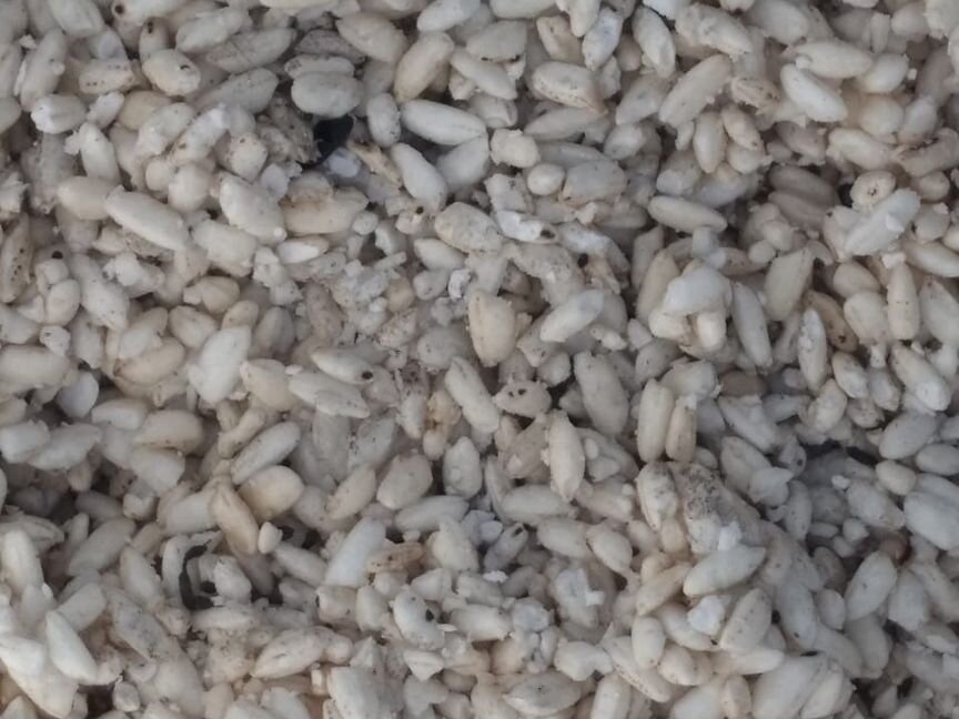 Корма для сельскохозяйственных