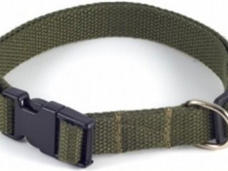 Рич Пет Ошейник брезентовый Green Dog 20мм*35-60см