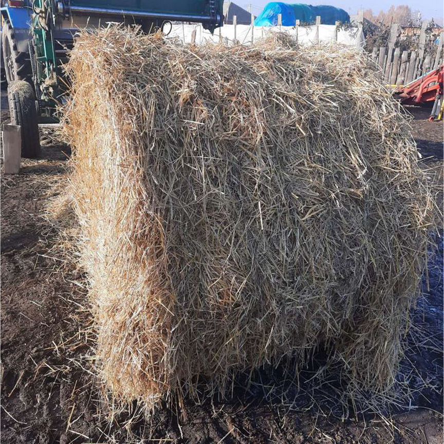 Солома в рулонах