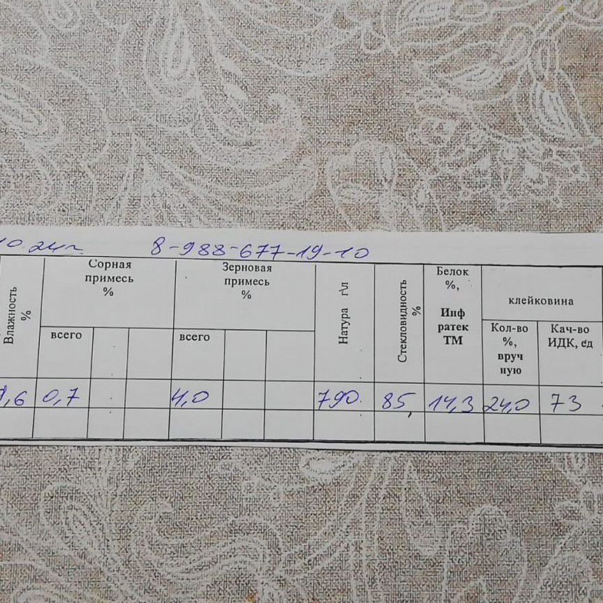 Зерно пшеница 3 класс