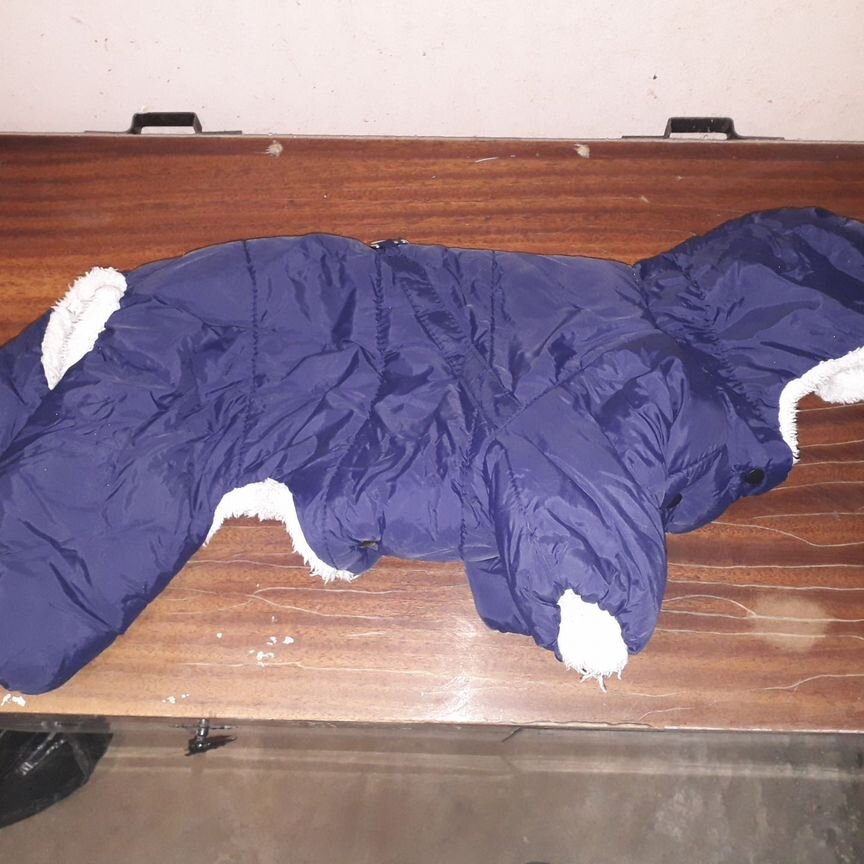 Зимний комбинезон для небольшой собаки