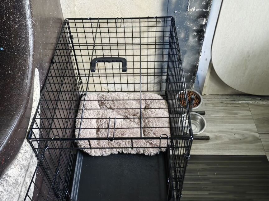 Клетка для собак