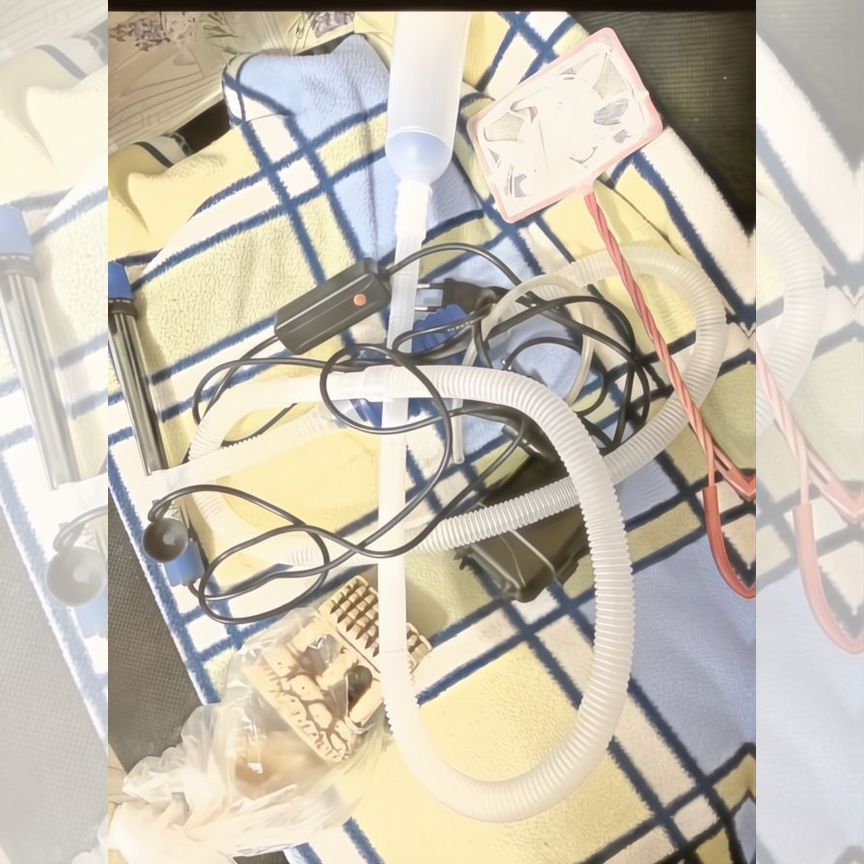 Все Для аквариума