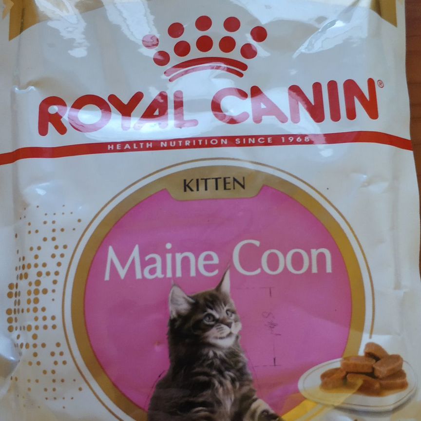 Влажный корм для кошек royal canin
