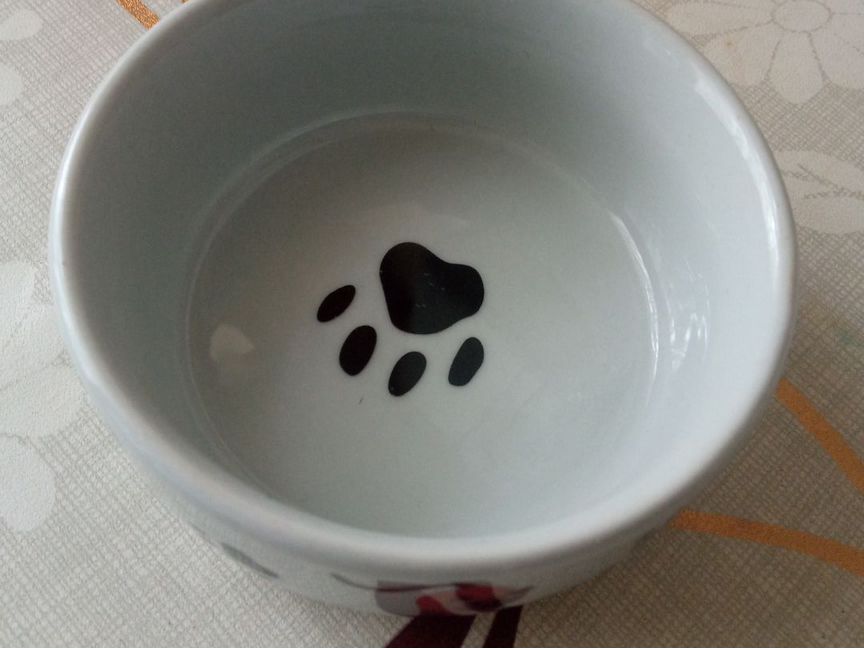 Чашка тарелка для котика кота