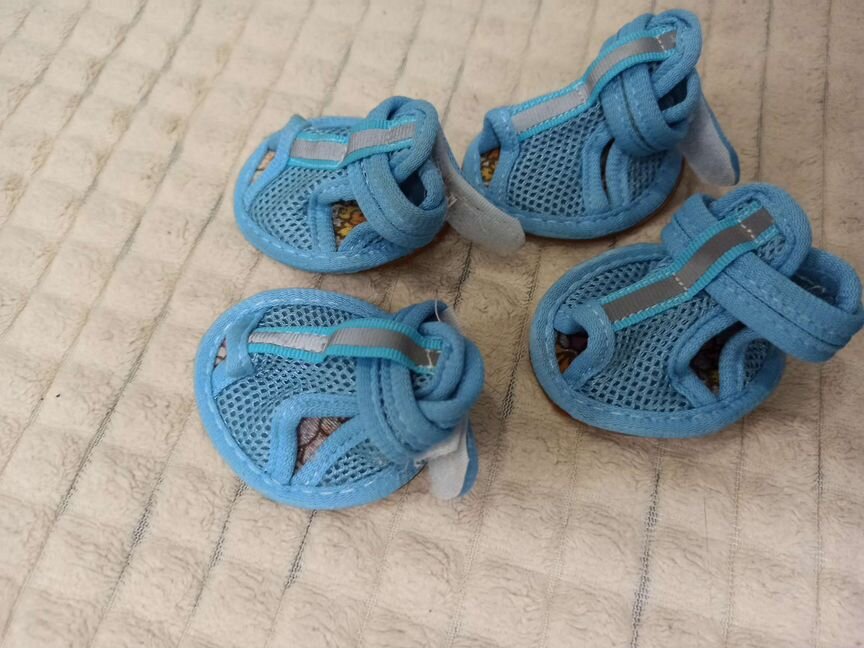 Тапки для собак