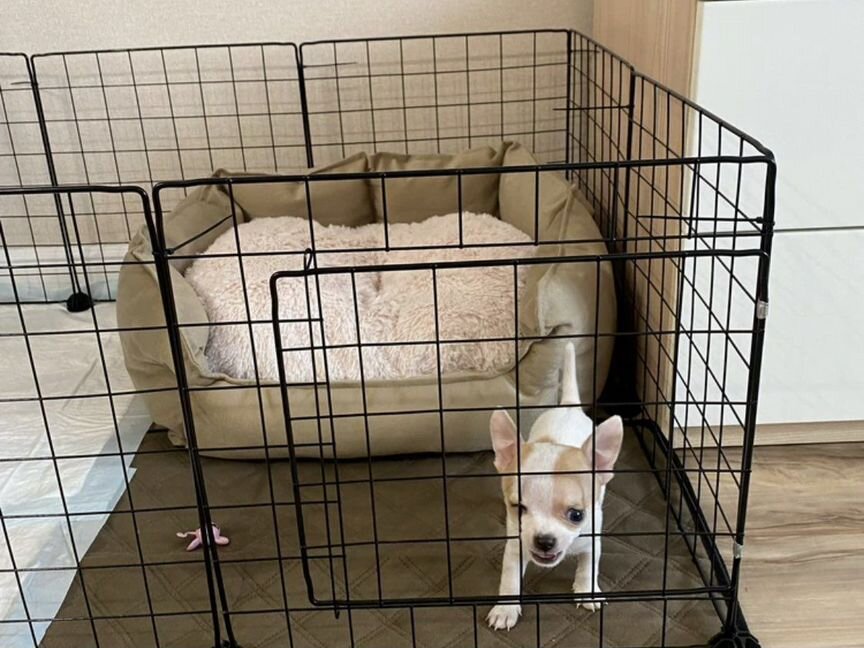 Вольер для собак