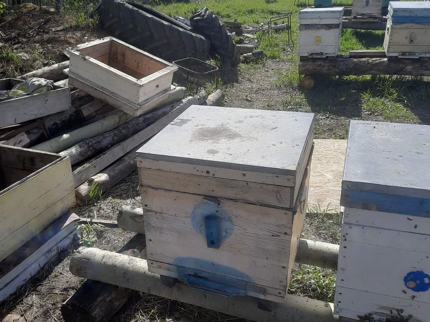 Продам улики бу