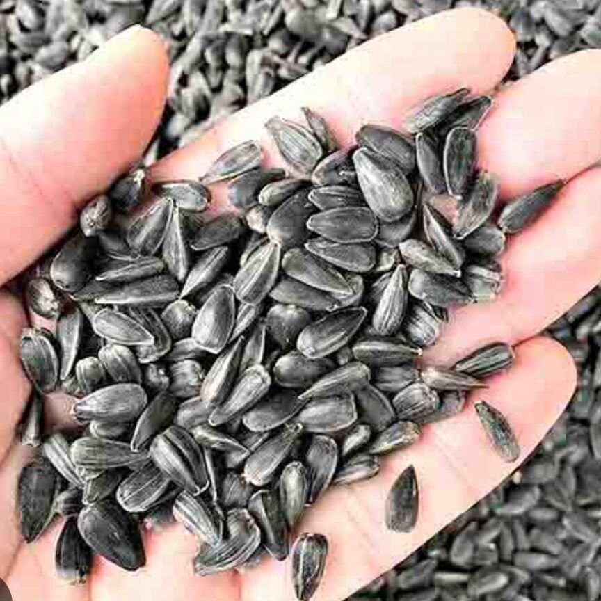 Семечки мелкие кормовые