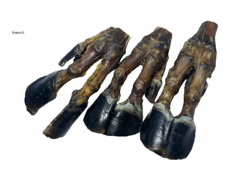 Лакомства для собак из оленя