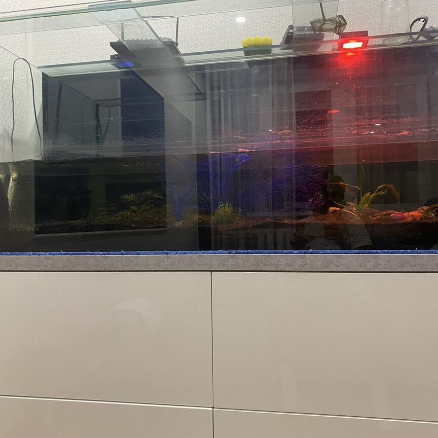 Аквариум с тумбой бу 550 литров