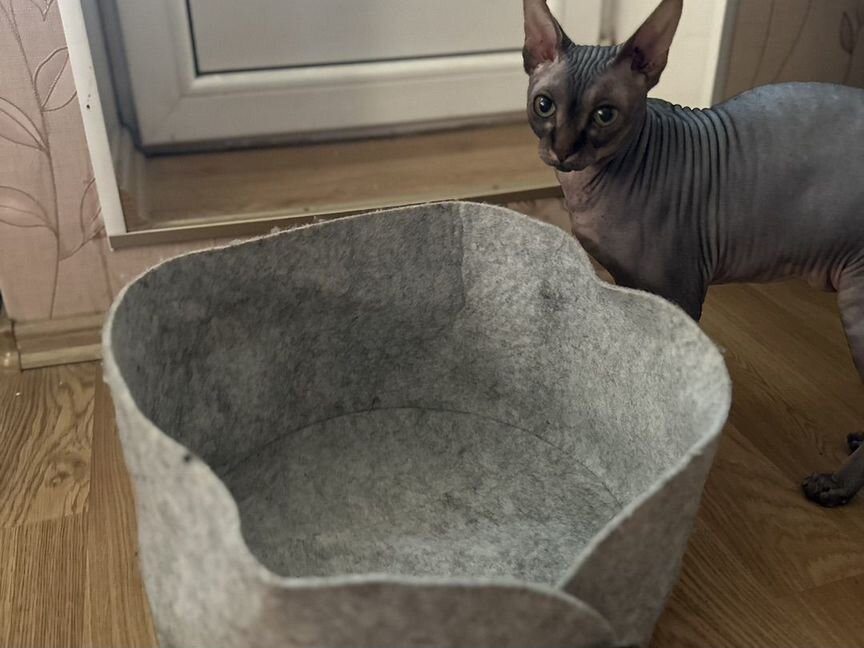 Лежанка для животных