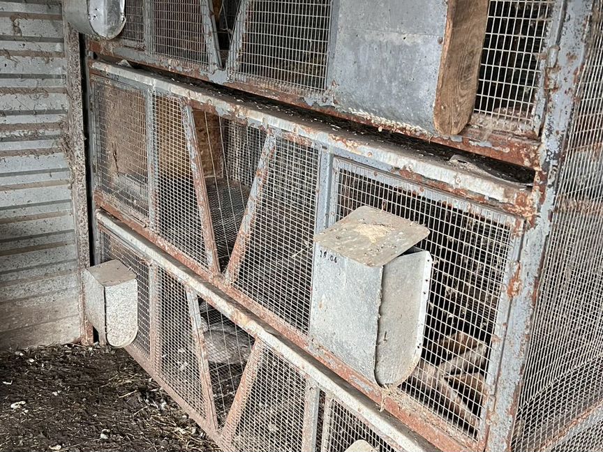 Клетка для кролика