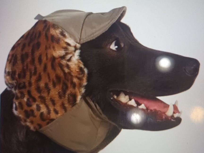 Шапка для собаки
