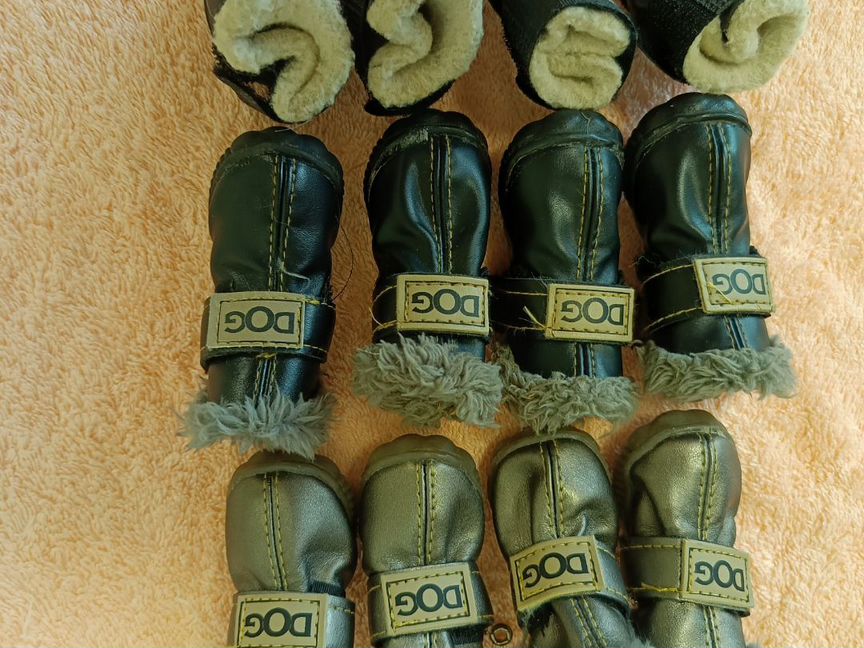 Сапожки для маленьких собачек