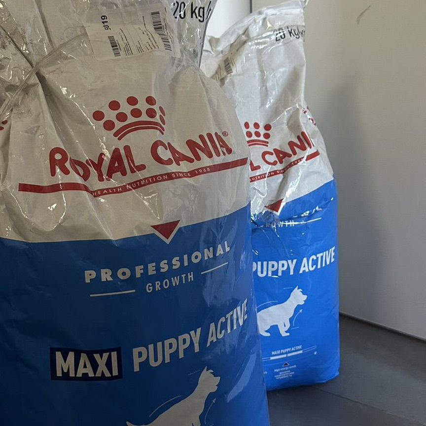 Корм для собак royal canin maxi puppy active 20 кг