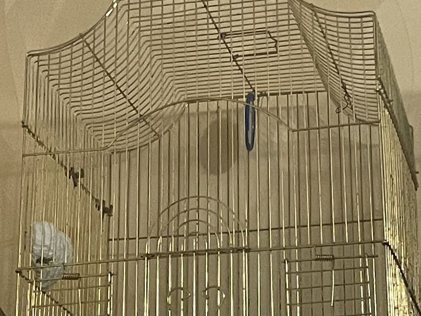 Клетка для попугая