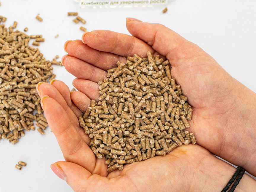 Корм для крс, птиц и других животных