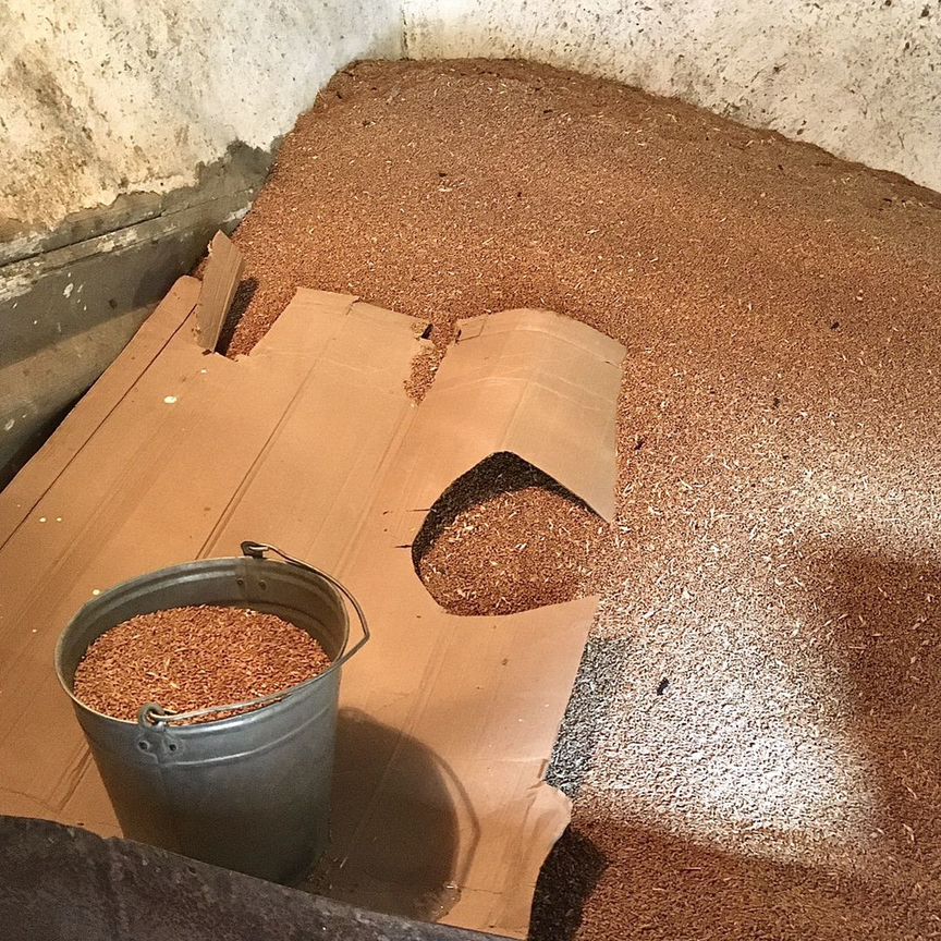 Пшеница 4 класс. Продажа в мешки