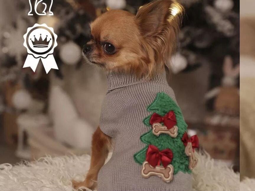 Джемпер для собаки