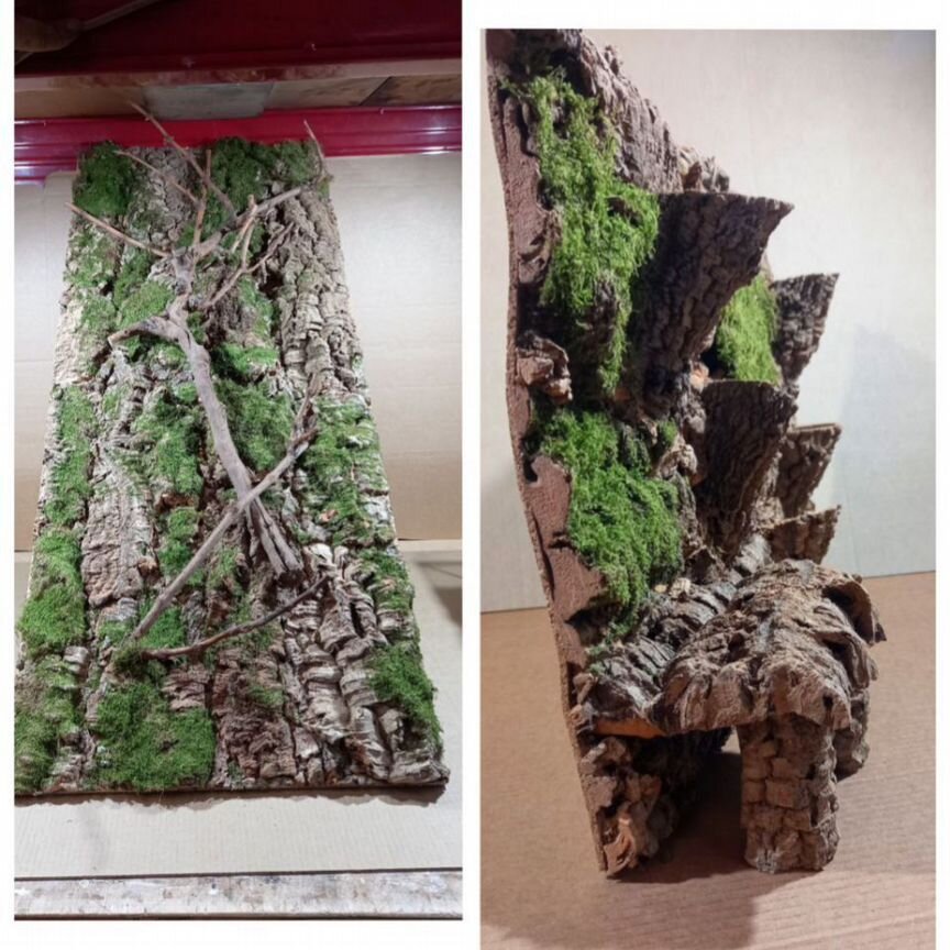 Фон в терр задняя стенка