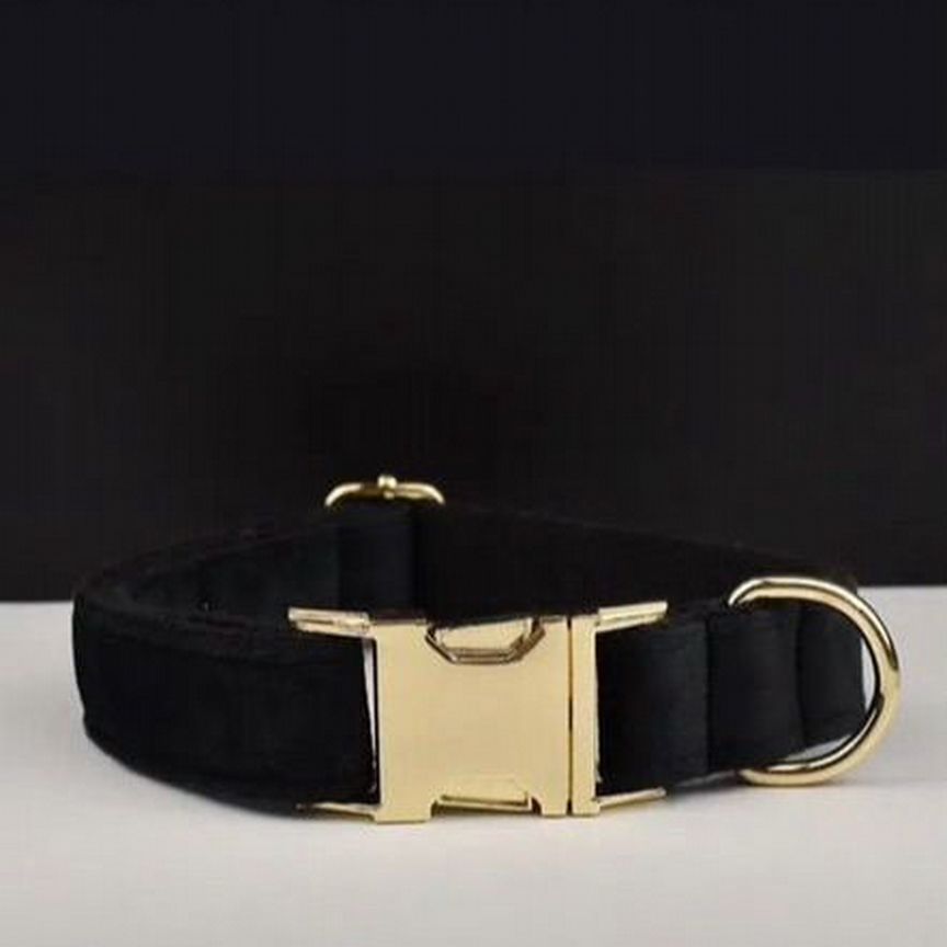 Ошейник для собаки бархатный велюровый