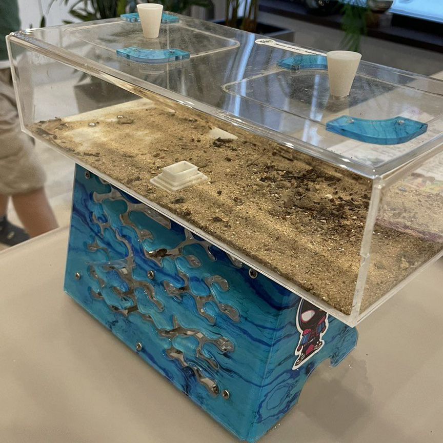 Муравьина ферма бу