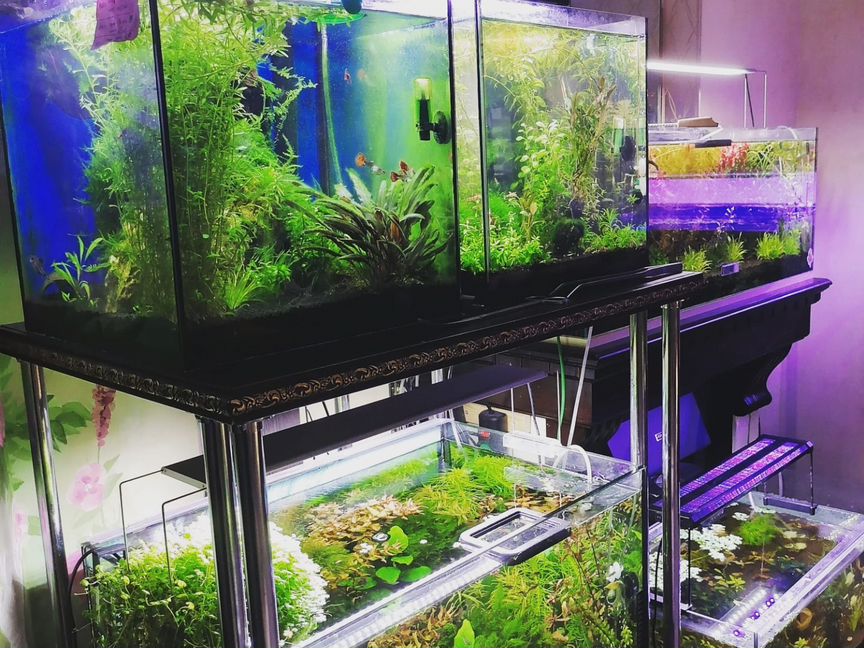 Аквариум на 14л