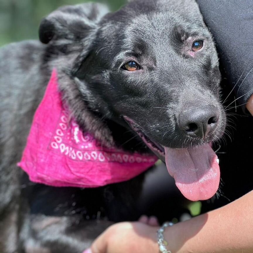 Молоденький Блинчик с нетерпением ждёт родителей