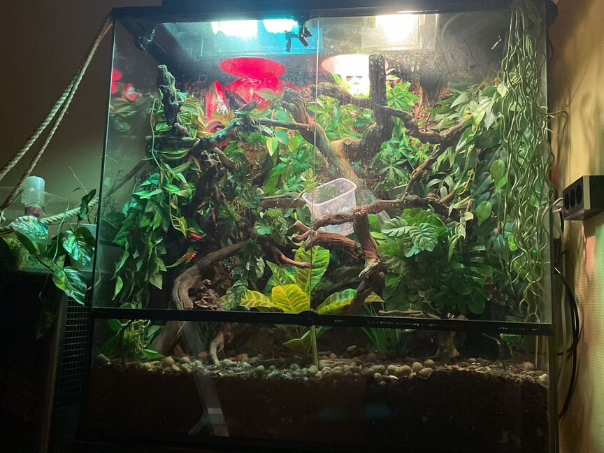 Террариум для рептилий