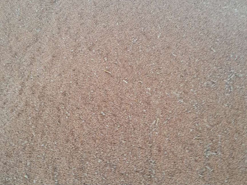 Зерно пшеница ячмень