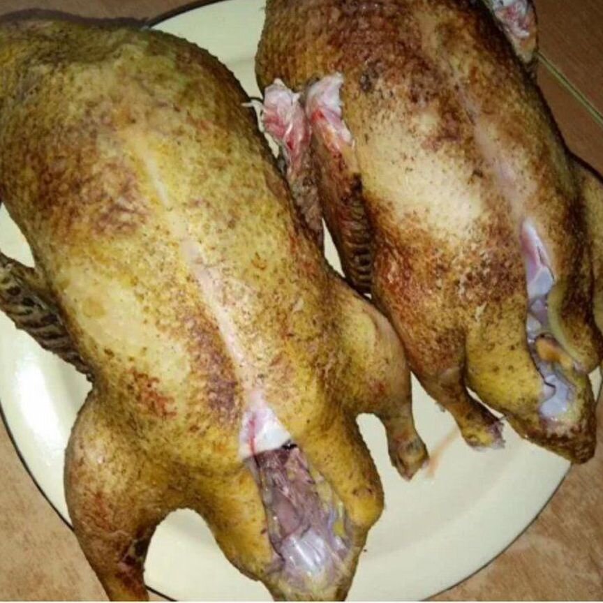 Домашняя птица