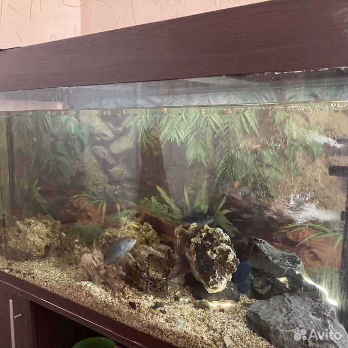 Акаариум