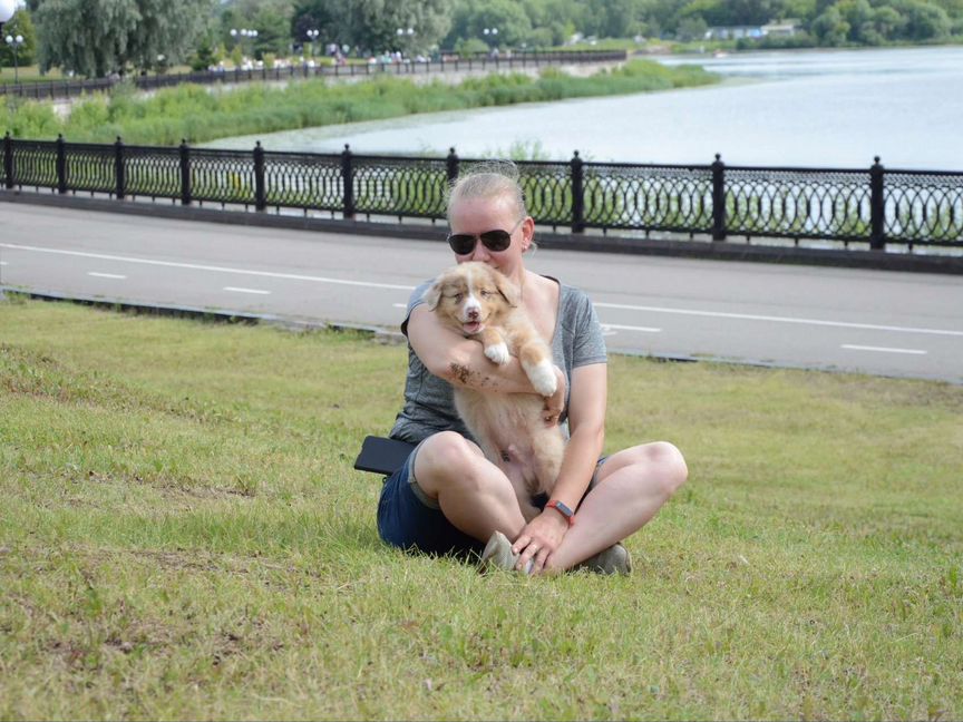 Малыши Аусси с документами