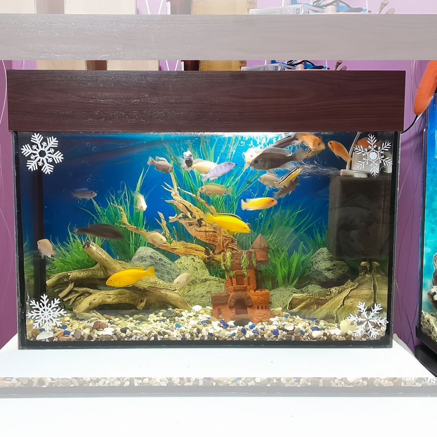 Аквариум 60л
