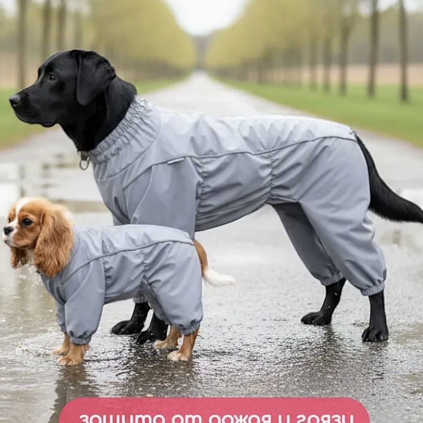 Дождевик для собаки