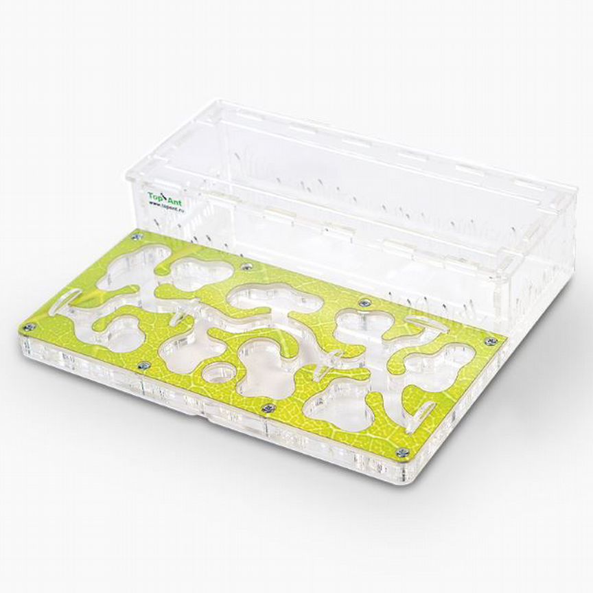 Муравьиная ферма промежуточная 21x18,5x6 см