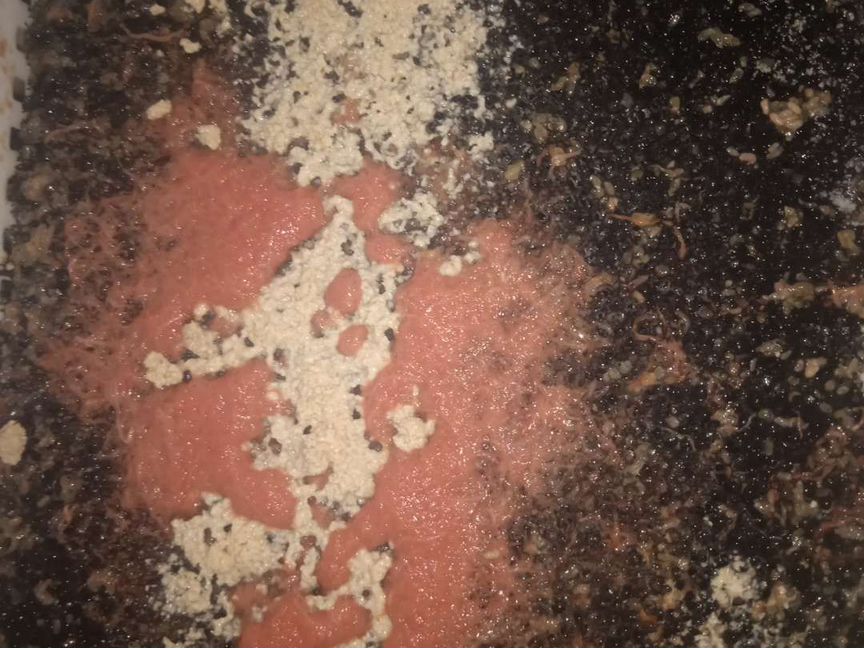 Трубочник Изя. Аулофорус