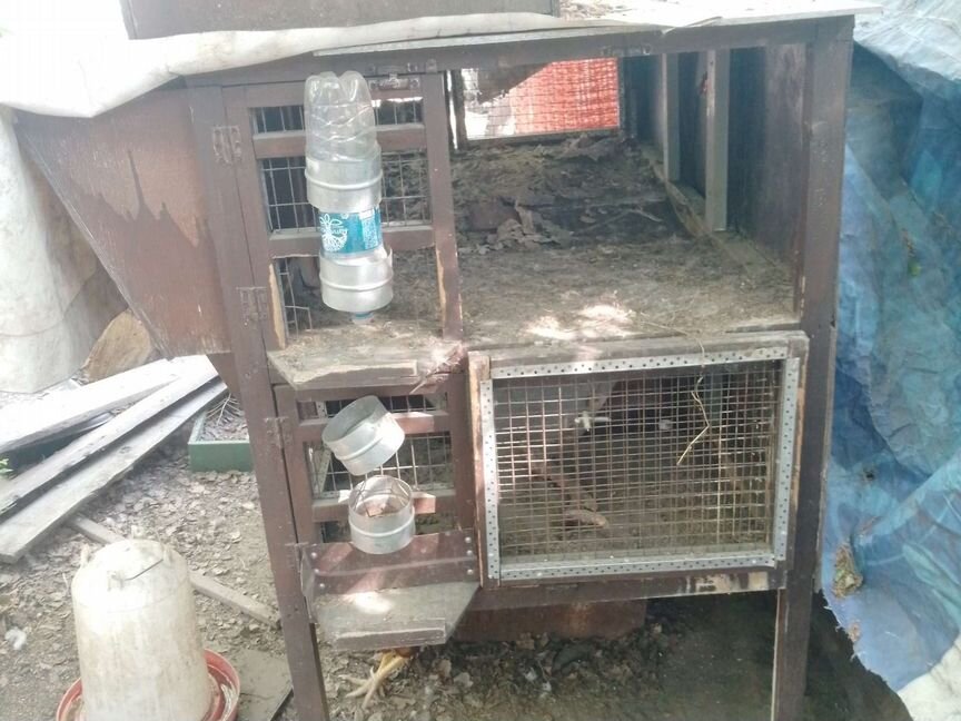 Клетка для кролика большая